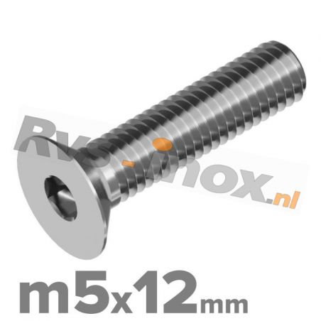 Rvs inbusbout m5x12 - ISO 10642 A2 | Rvs-inox.nl